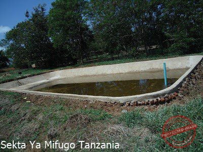 Aina za mabwawa ya kufugia samaki – Ufugaji Bora
